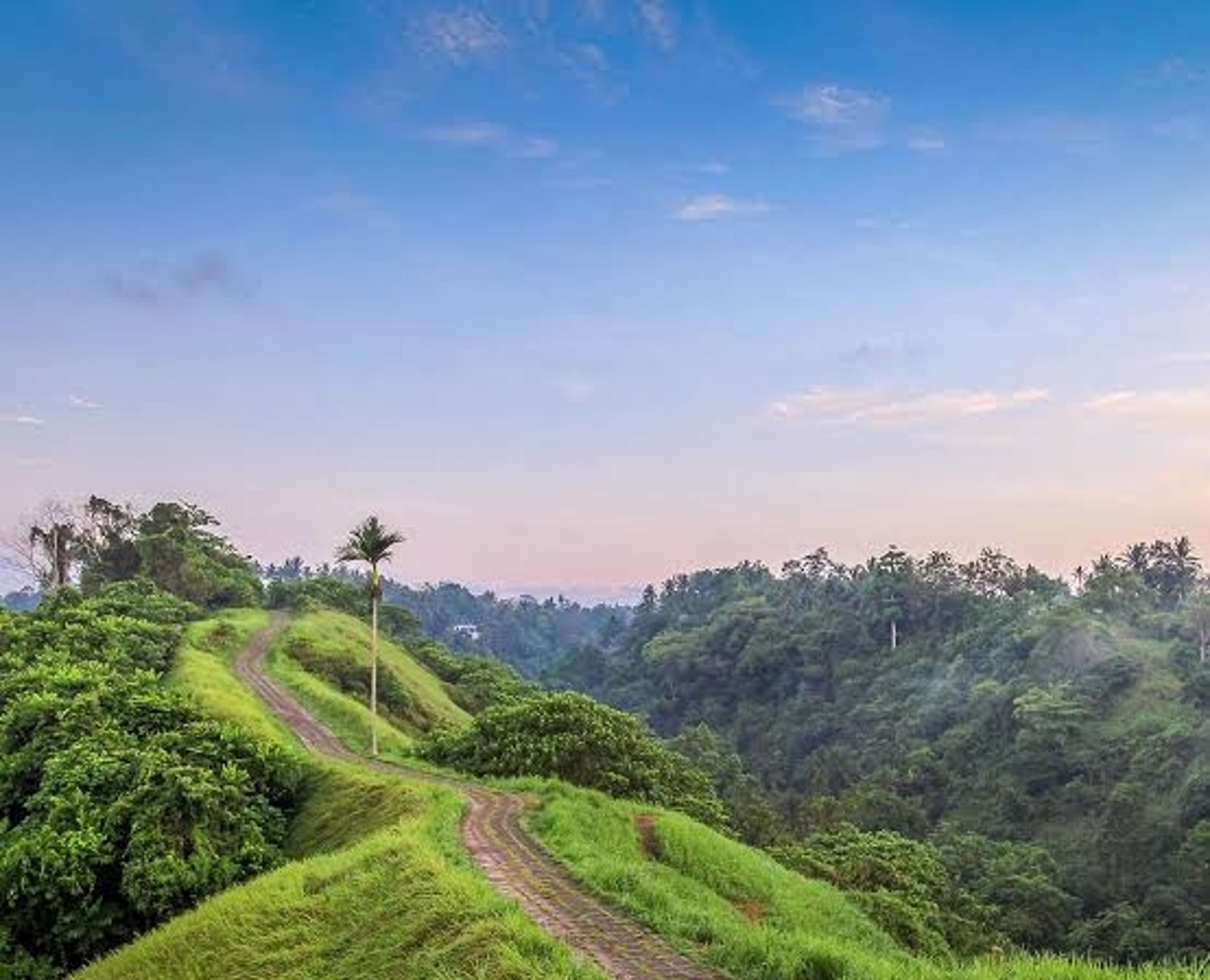 Why do tourists go to Ubud ridge walk?